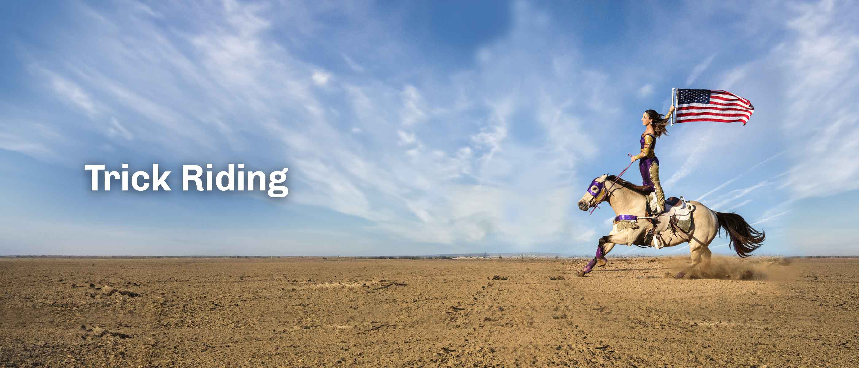 Shop all Trick Riding Saddles and Tack - Western Stage Props · Western ...