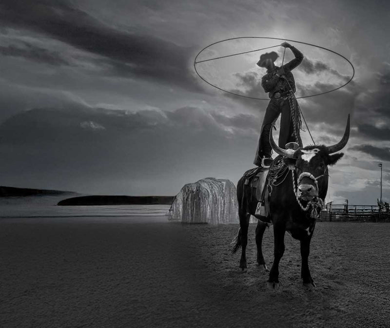 Learn Trick Roping - Trick Ropes for sale - WesternStageProps.com ...